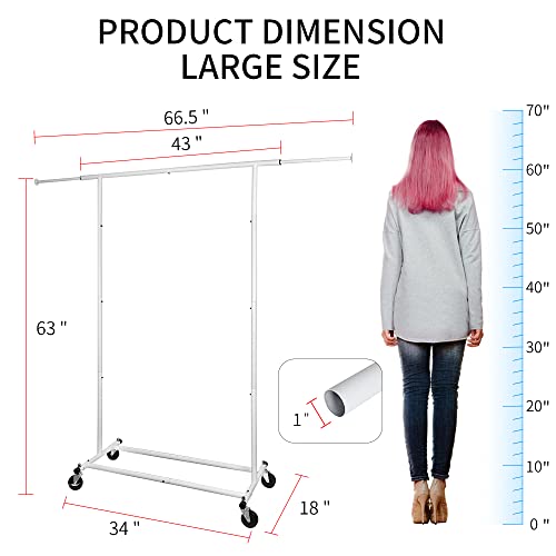 Fishat Double Rod Simple & Single Rod Heavy Duty Garment Rack, White