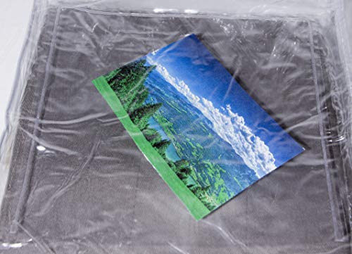 Clear Vinyl Zippered Storage Bags 9 x 11 x 5 Inch with 7.5" Display Pocket 5-Pack