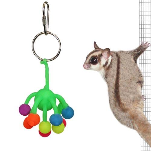 Jungle Canopy Toy Bundle - Colorful Interactive Climbing Forage Cage Accessory Toy Set - for Sugar Gliders, Rats, Ferrets, Hamsters, Squirrels, Parrots, Birds, Marmosets, Degus, Monkeys & Small Pets