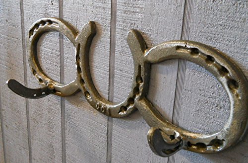 Horseshoe Bath Accessory Set in Natural Iron w/Token