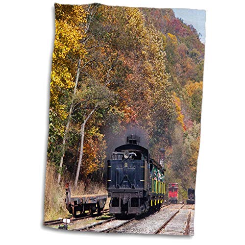 3D Rose West Virginia-Cass Scenic Railroad-Steam Train-Us49 Wbi0030-Walter Bibikow Hand/Sports Towel, 15 x 22