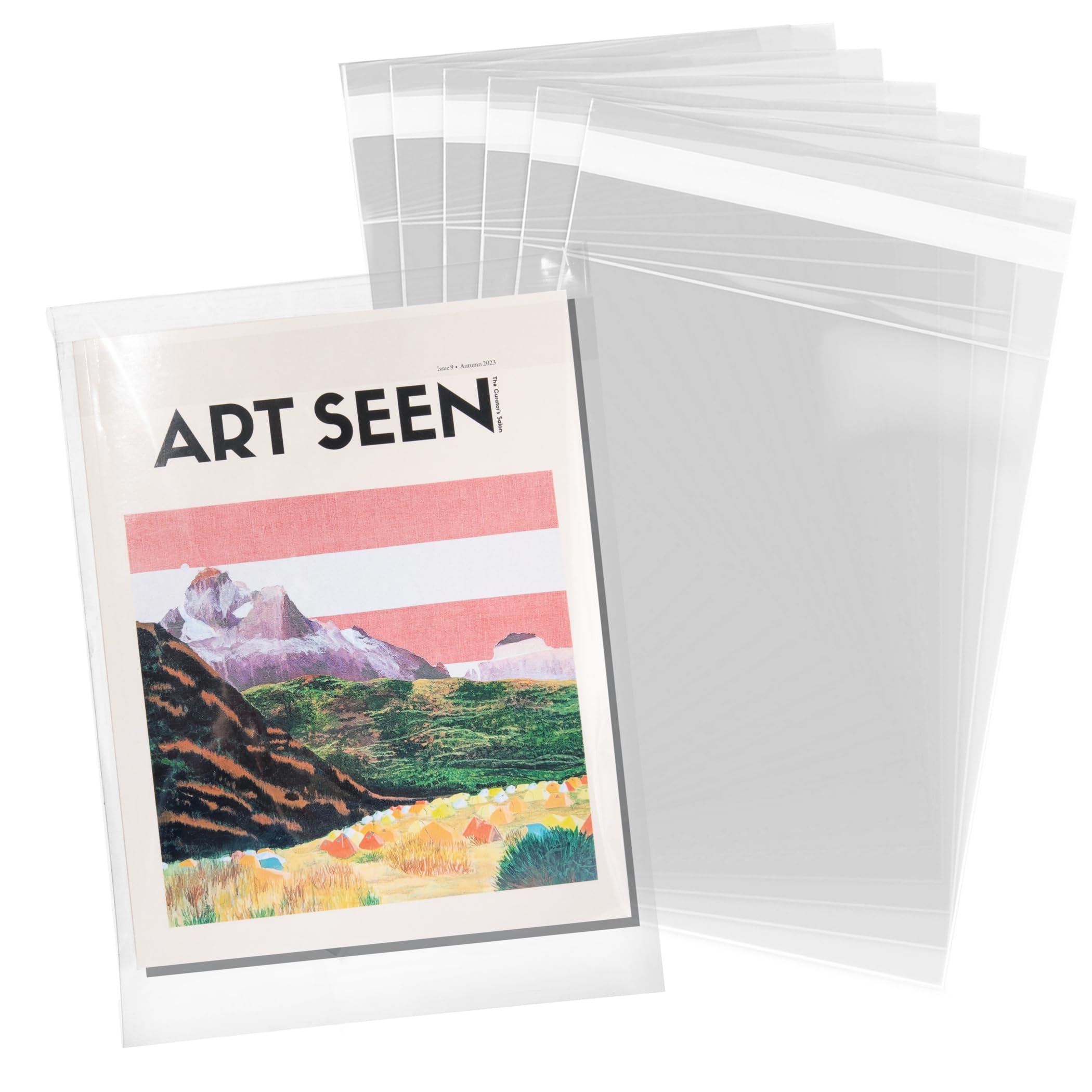Pack It Chic - 9” X 12” (200 Pack) Clear Resealable Cello Poly Bags - Fits A4, Letter Sized Documents, Marketing Materials - Self Seal