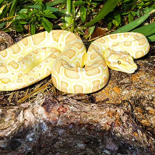Safari Ltd. Albino Burmese Python Figurine - Lifelike 5.5" Snake Figure - Educational Toy for Boys, Girls, and Kids Ages 3+