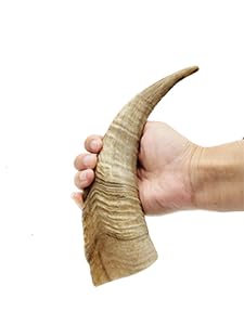 Herders Choice Chews Dried Goat Horns (Medium 2 pcs.)