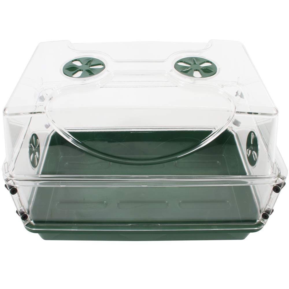 EarlyGrow 93763 Medium Seed and Herb Domed Propagator with Vented Side Height Extension, Green