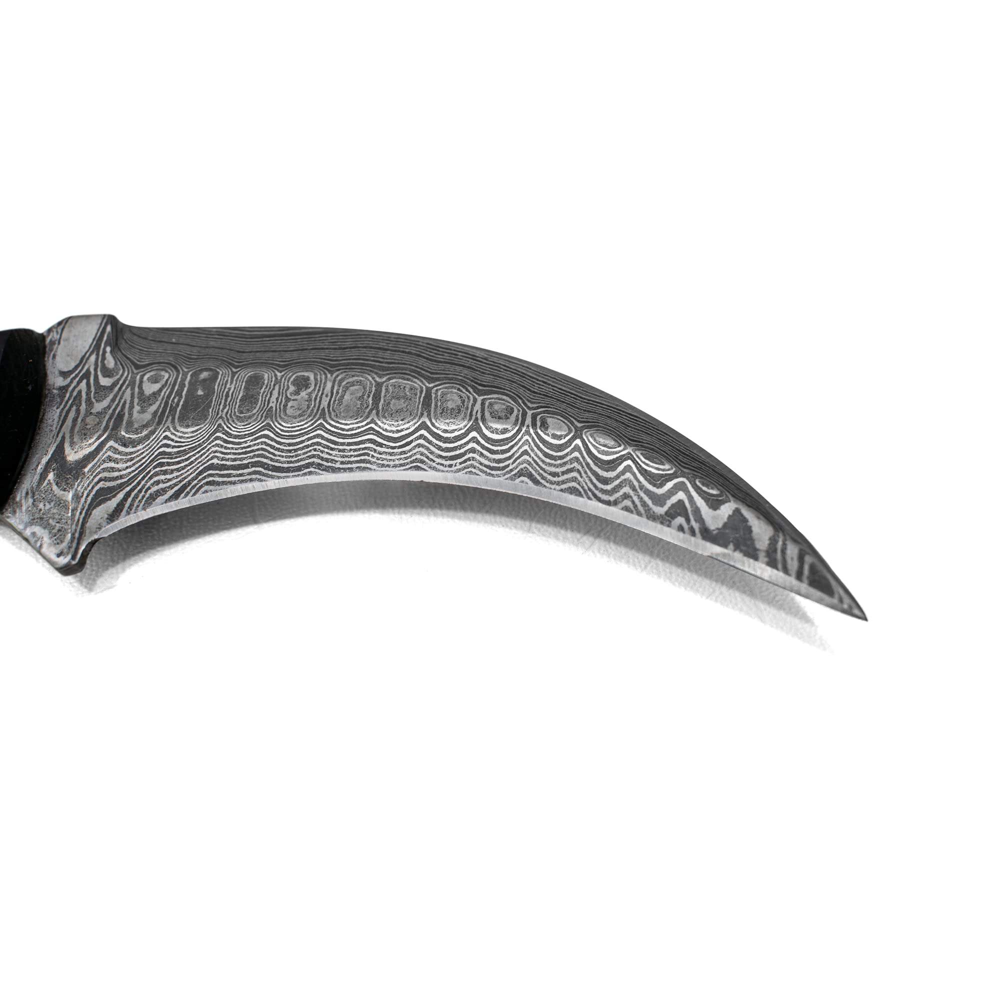 Titan Japanese Blade Fixed Knife 8in TJ-020, TJK-20