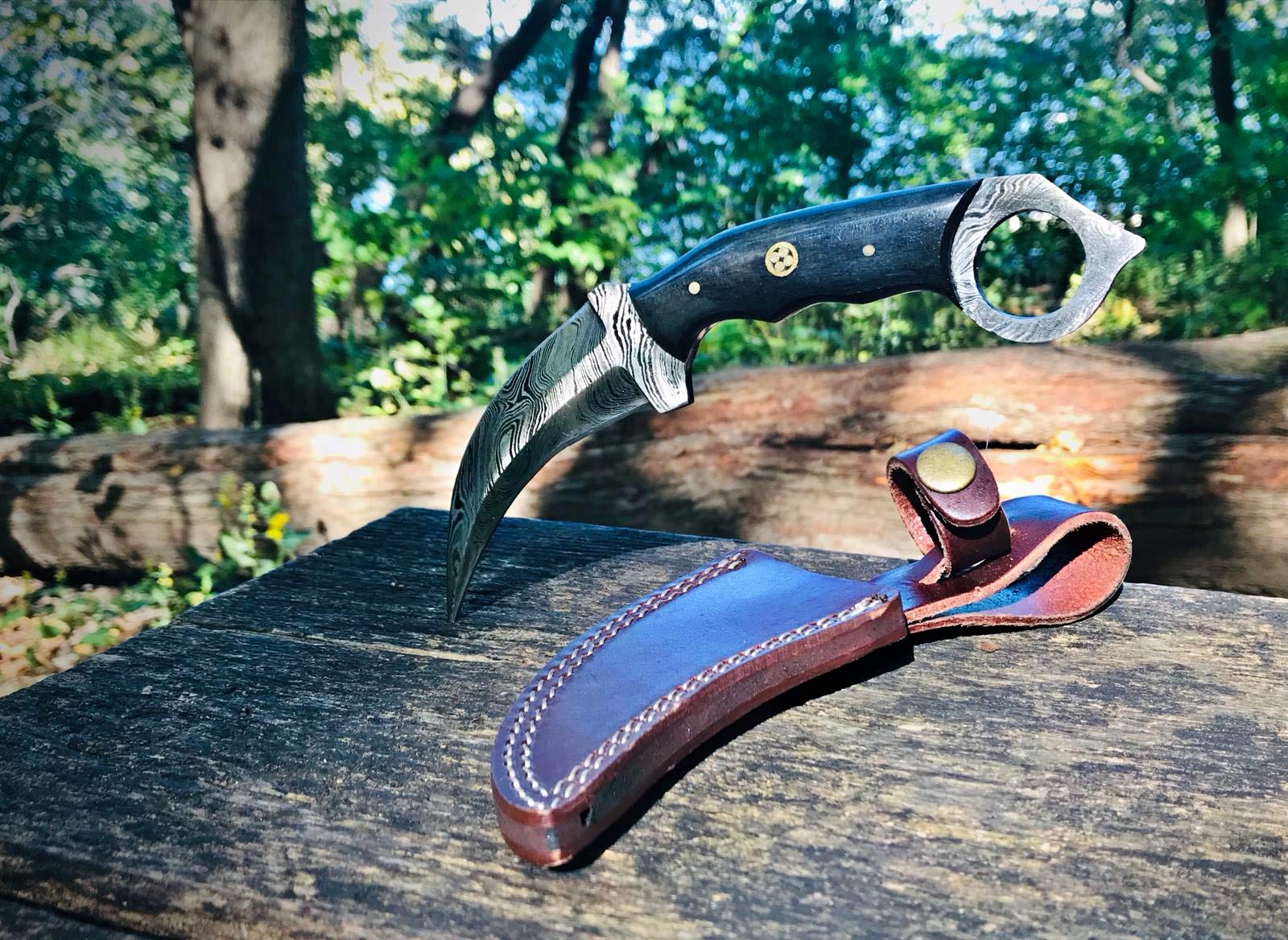 Titan Japanese Blade Fixed Knife 8in TJ-020, TJK-20