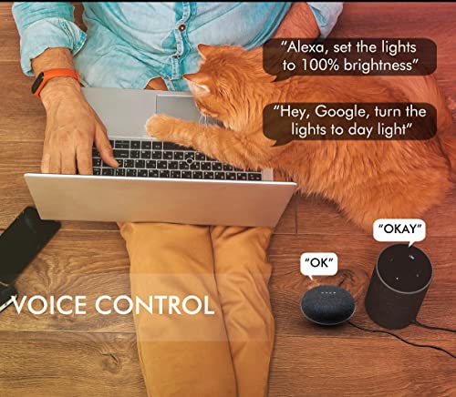CLOUDY BAY 24 Inch Smart WiFi LED Bathroom Vanity Light,RGB Color Changing Vanity Lighting,Compatible with Alexa and Google Home Assistant,No Hub Required,25W 2700K-6500K,CRI90+ Damp Location