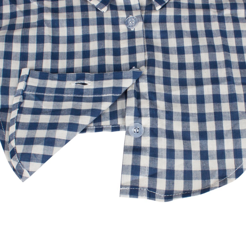 Vpang Women's Stylish Detachable Half Shirt Blouse False Collar Plaid Shirt Collar Fake Collar Dickey Collar (Blue)