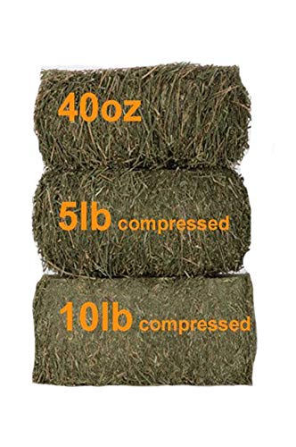 Grandpa's Best Alfalfa Hay, 40 oz