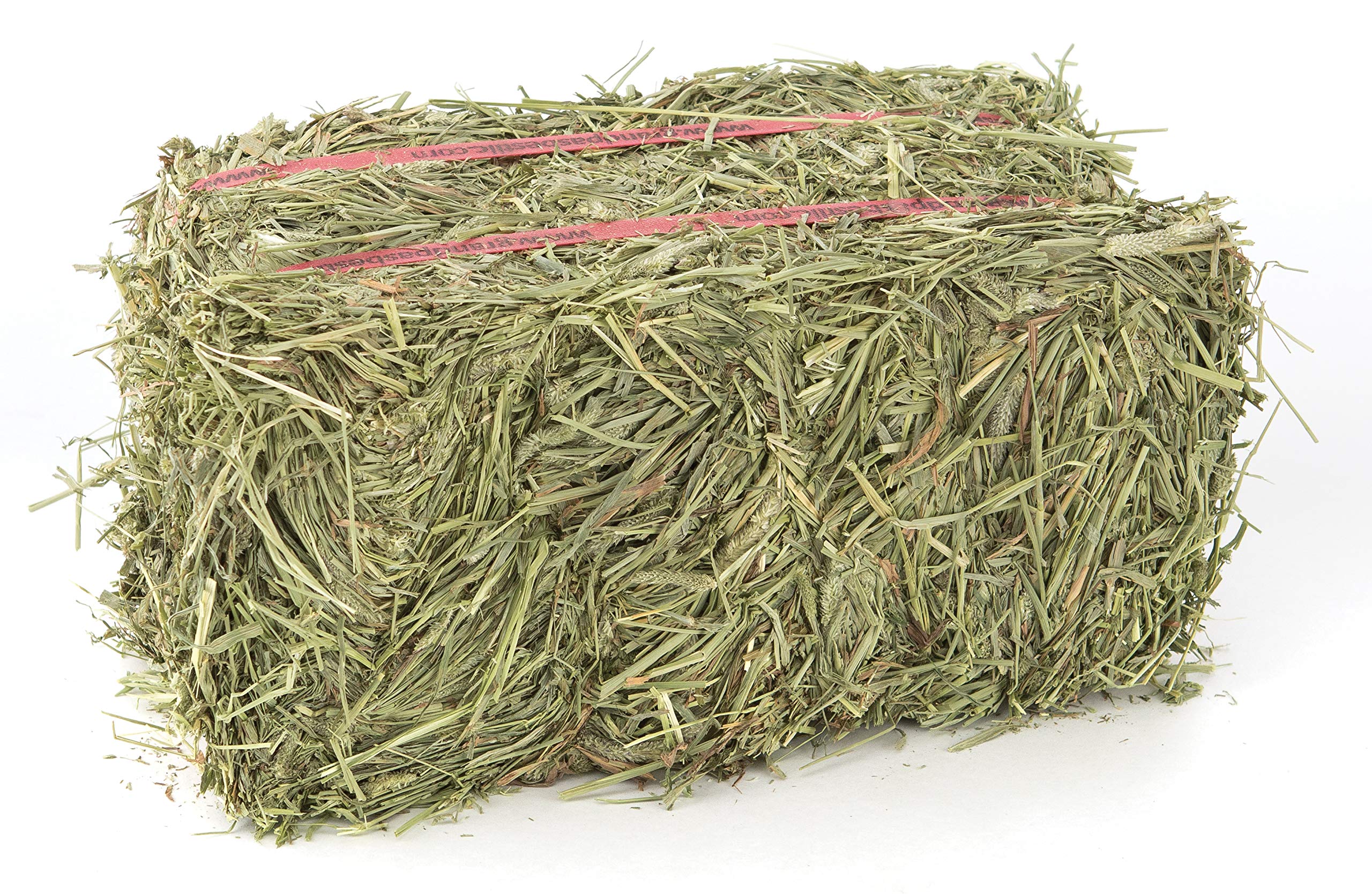 Grandpa's Best Timothy Hay Bale, 5lbs