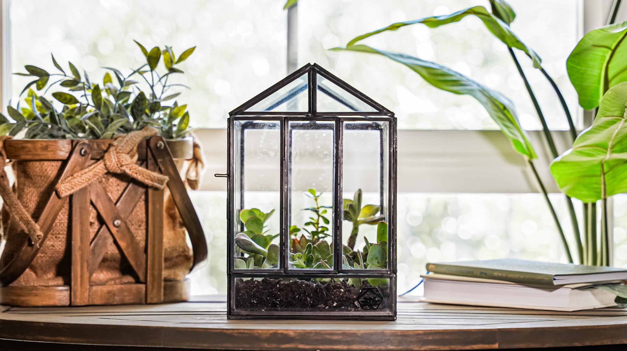 Urban Born Large Indoor Greenhouse Shape Terrarium β 10" x 6" x 10" (Black)