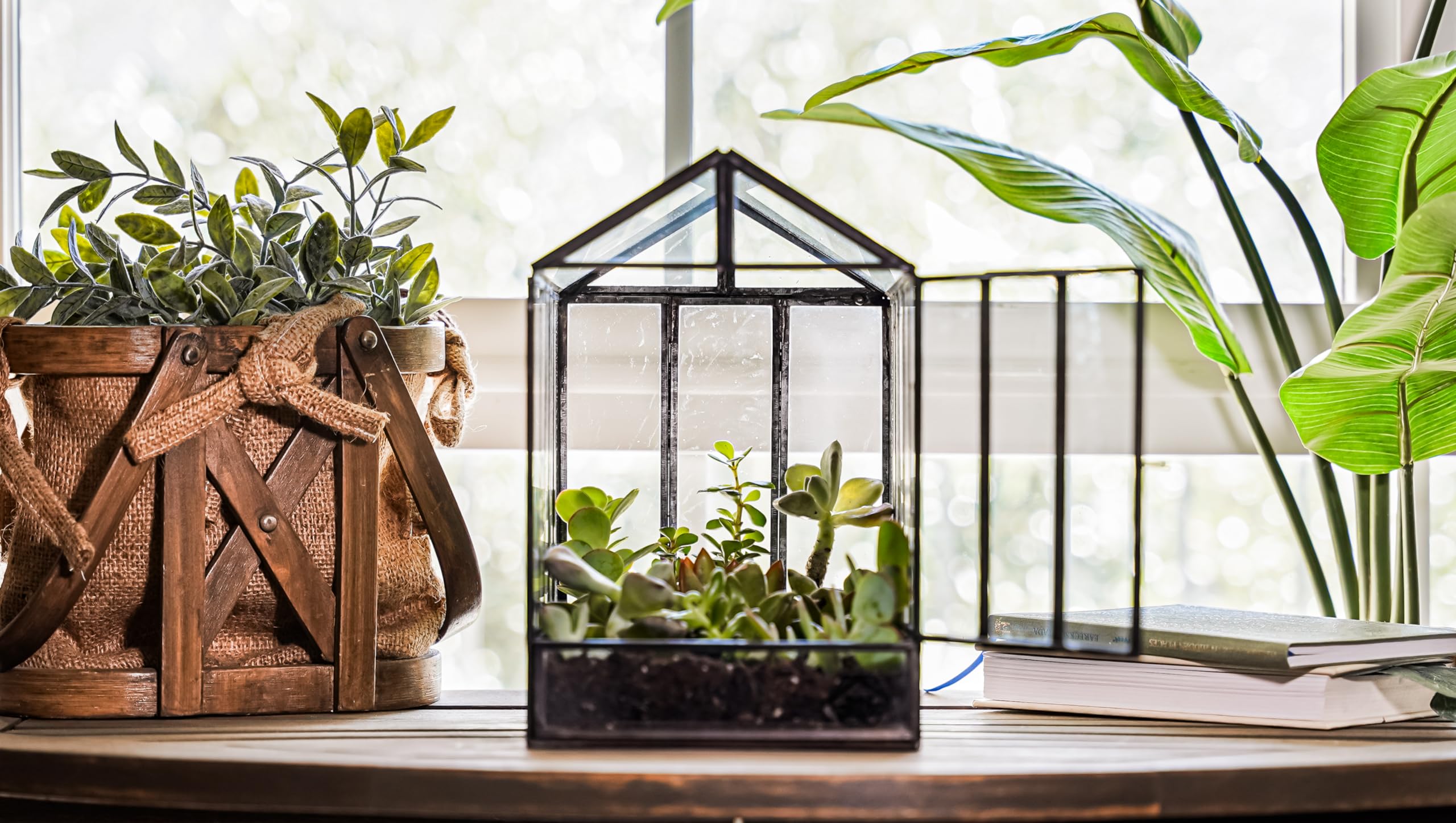 Urban Born Large Indoor Greenhouse Shape Terrarium β 10" x 6" x 10" (Black)