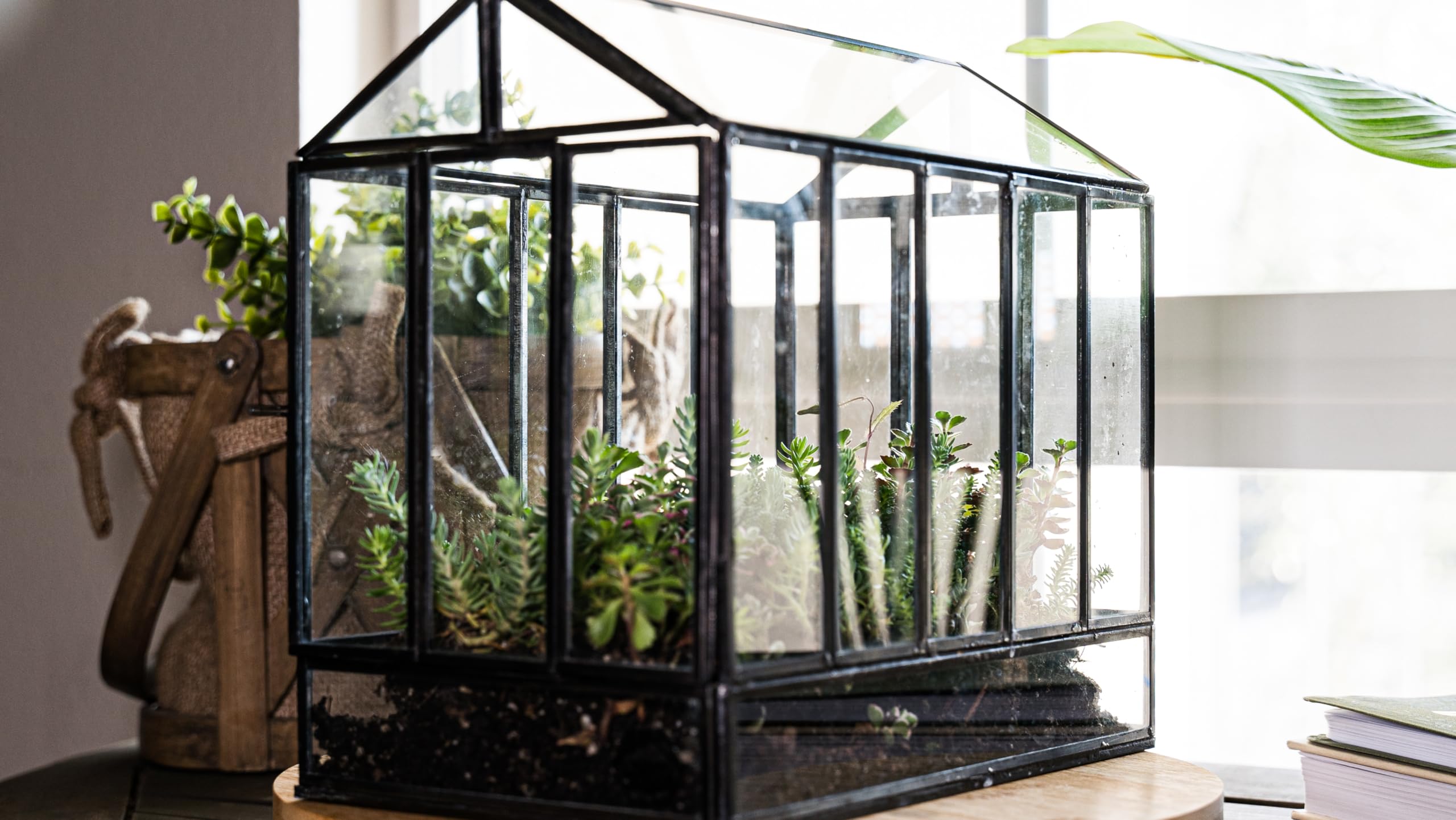 Urban Born Large Indoor Greenhouse Shape Terrarium β 10" x 6" x 10" (Black)