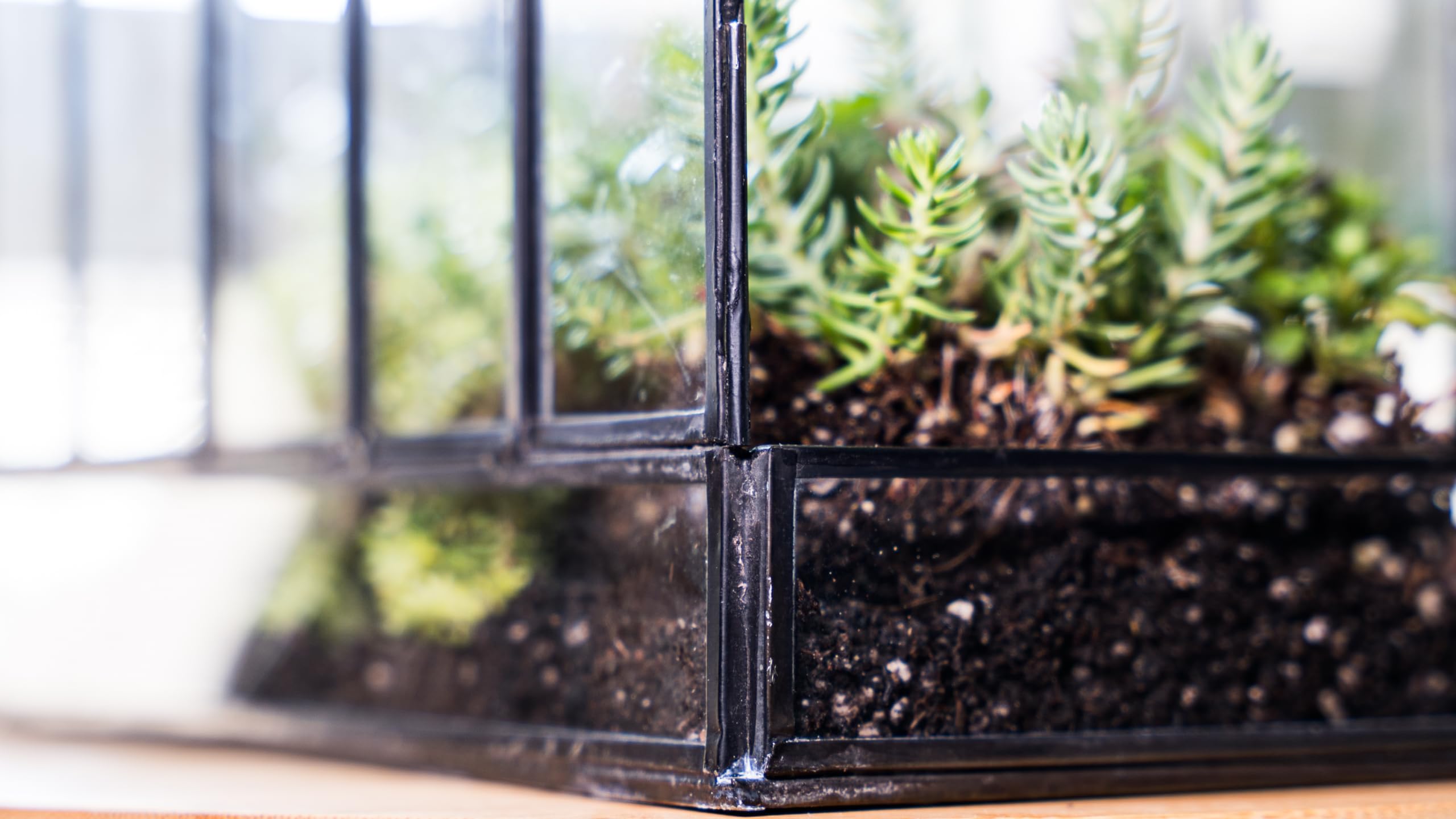 Urban Born Large Indoor Greenhouse Shape Terrarium β 10" x 6" x 10" (Black)