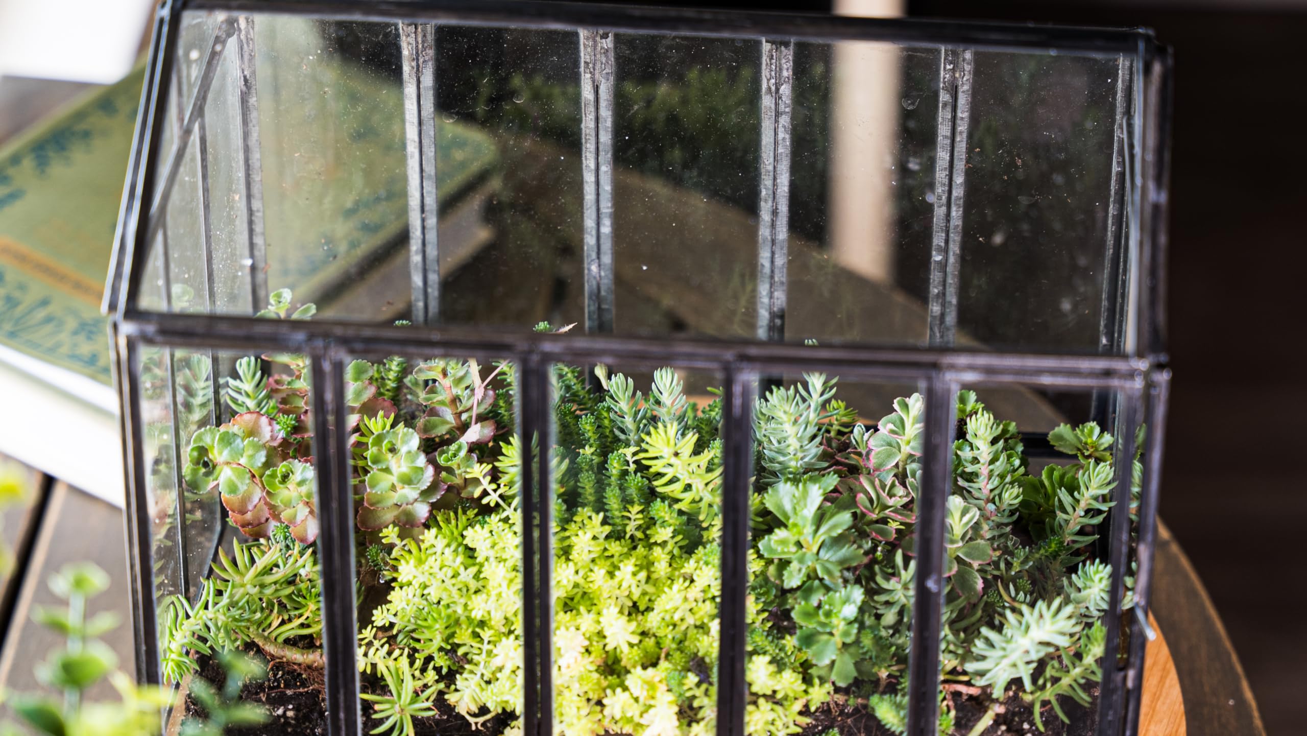 Urban Born Large Indoor Greenhouse Shape Terrarium β 10" x 6" x 10" (Black)