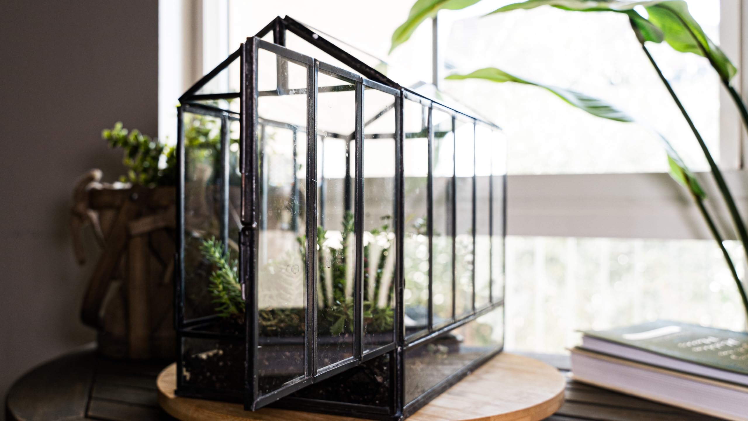 Urban Born Large Indoor Greenhouse Shape Terrarium β 10" x 6" x 10" (Black)