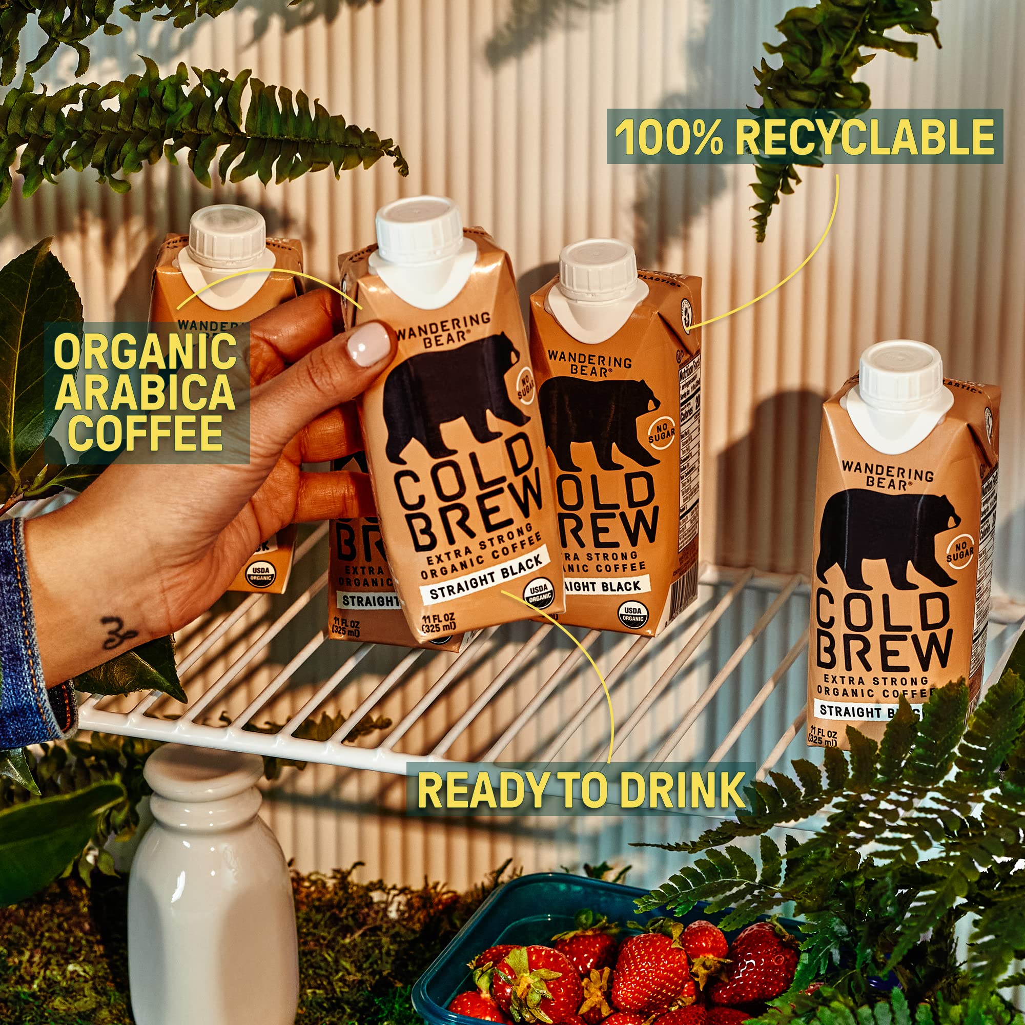 Wandering Bear Straight Black Organic Cold Brew Coffee On-the-Go, Iced Coffee, 11 fl oz, 12 pack - Extra Strong, Smooth, Unsweetened, Shelf-Stable, Ready to Drink