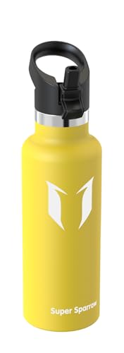 Super Sparrow Insulated Water Bottle with Straw -17 oz - Reusable Leak Proof Thermos - BPA-Free Kids Water Bottle Stainless Steel - 2 Lids Metal Water Bottle for Sports, Travel, Camping