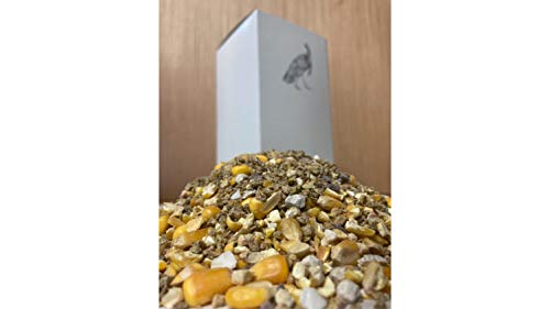 Bearded Hen - Wild Turkey Scratch Feed Supplement - All Natural Vitamin Fortified w/ Oyster Shell Calcium - Game Bird Attractant (3 Pounds)
