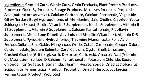 Bearded Hen - Wild Turkey Scratch Feed Supplement - All Natural Vitamin Fortified w/ Oyster Shell Calcium - Game Bird Attractant (3 Pounds)