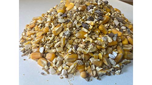 Bearded Hen - Wild Turkey Scratch Feed Supplement - All Natural Vitamin Fortified w/ Oyster Shell Calcium - Game Bird Attractant (3 Pounds)