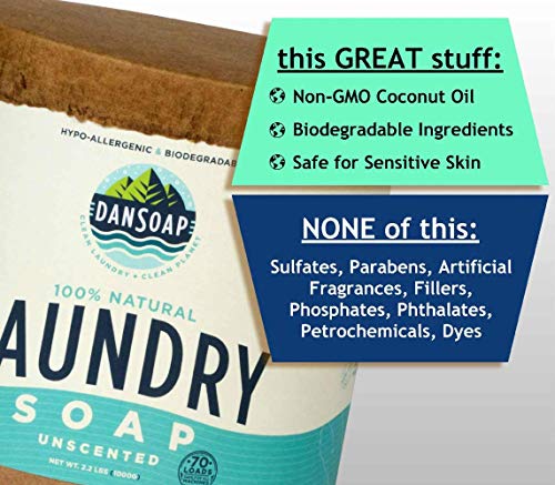 DanSoap Powdered Laundry Soap | Natural, Plastic Free | Unscented (70 Washes)