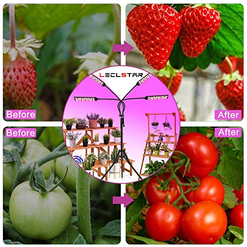 LED Grow Light Indoor Plants - 300W 420LED Plant Light with 63" Extendable Tripod Stand,Dual Controllers,Full Spectrum,4/8/12H Timer,Adjustable Gooseneck,4 Switch Modes for Greenhouse Veg and Flower