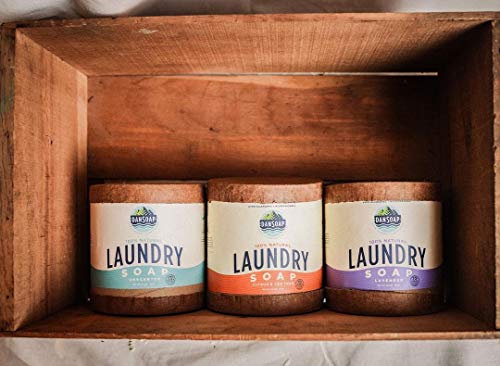 DanSoap Powdered Laundry Soap | Natural, Plastic Free | Unscented (70 Washes)