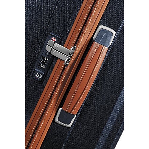 Samsonite Black Label Lite Cube DLX 20" Hardside Spinner (One Size, Aluminium)