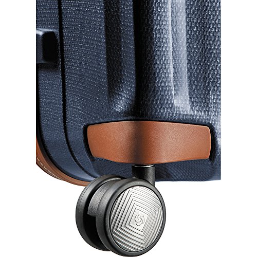 Samsonite Black Label Lite Cube DLX 20" Hardside Spinner (One Size, Aluminium)