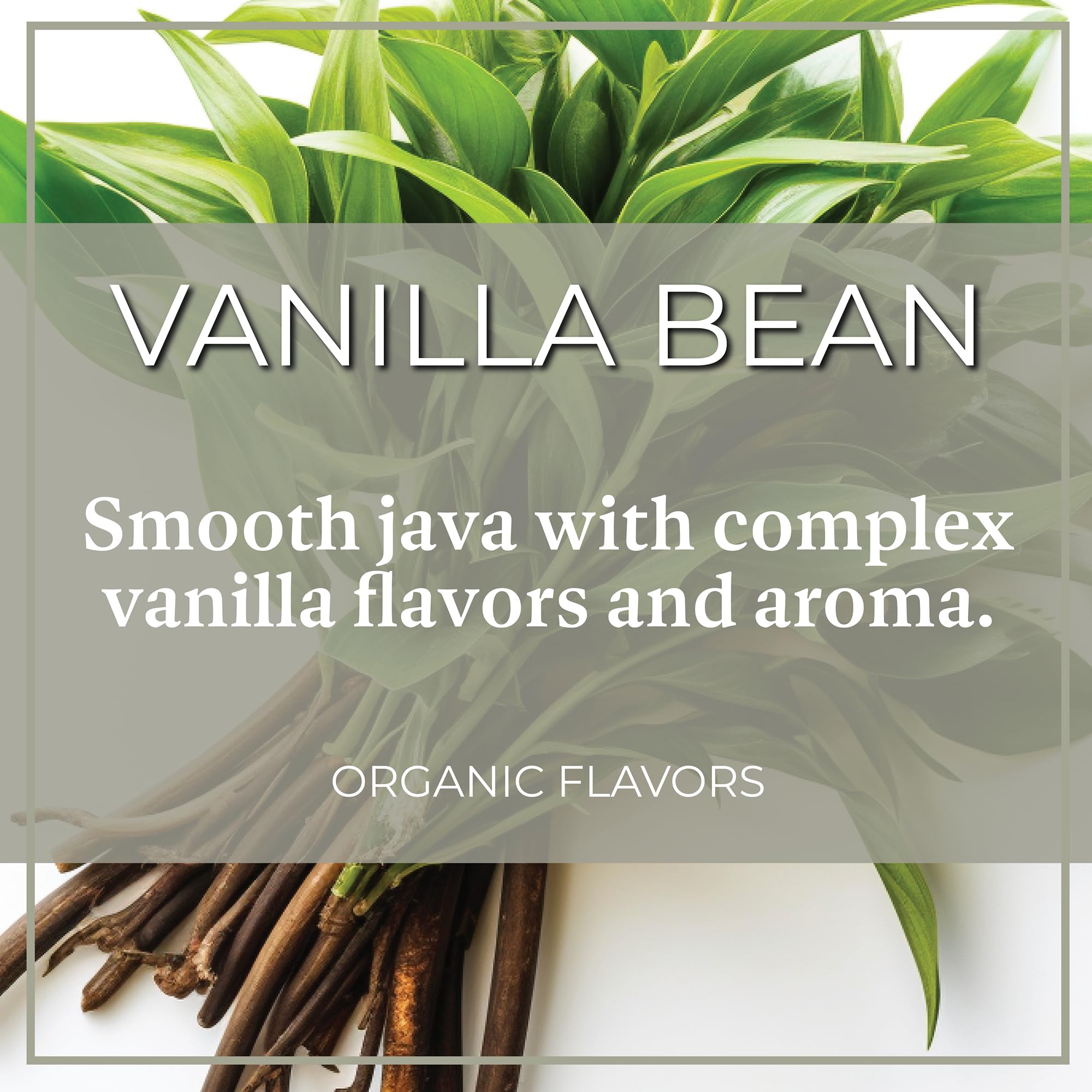 The Bean Organic Coffee Company Vanilla Bean, Medium Roast, Ground Coffee, 16-Ounce Bag,Café molido tostado organico