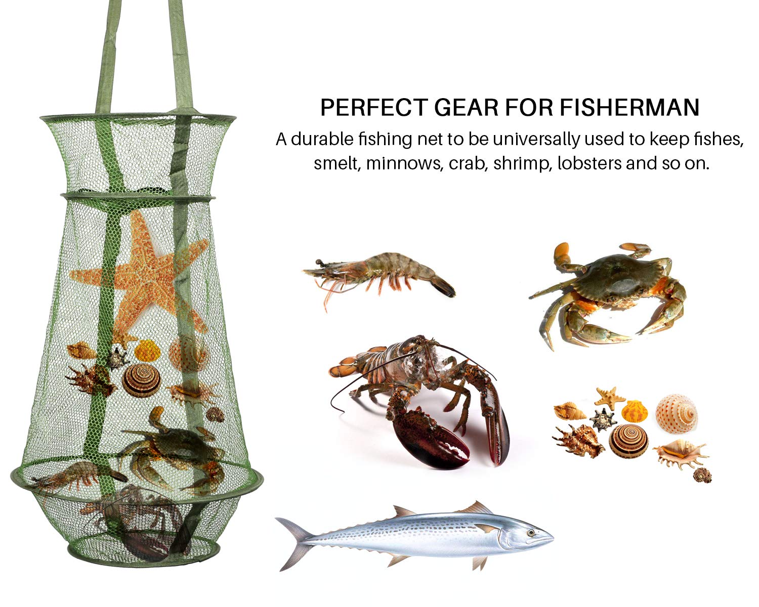 mouhike Collapsible Fish Basket Mesh Fish Trap Portable Fish Cage Foldable Fishing Keep Net for Keeping Fish Alive, Bait Storage Crayfish Crab Minnows Shrimps Lobsters