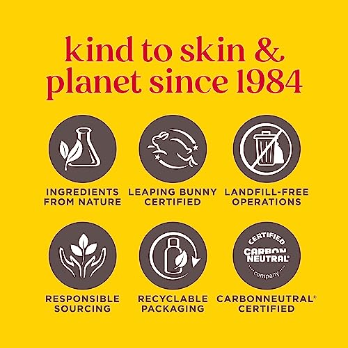 Burt's Bees Lip Balm - Strawberry, Lip Moisturizer With Responsibly Sourced Beeswax, Tint-Free, Natural Origin Conditioning Treatment, 2 Tubes, 0.15 oz.