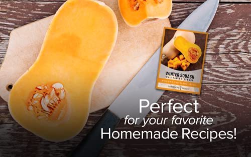 Butternut Squash Seeds for Planting - Waltham Heirloom Non-GMO Winter Storage Vegetable Plant for Home Garden Vegetables Makes a Great Gift for Gardening by Gardeners Basics