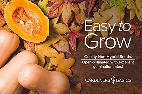 Butternut Squash Seeds for Planting - Waltham Heirloom Non-GMO Winter Storage Vegetable Plant for Home Garden Vegetables Makes a Great Gift for Gardening by Gardeners Basics