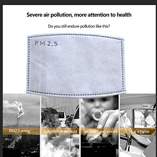 Millton PM 2.5 Filters 5 Layers Filters Activated Carbon Filters (20 Pcs)