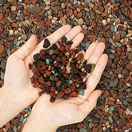 5.7lb Mix Horticultural Lava Rock Pebbles-Decorative Landscaping Gritty Rocks,Pumice Potting Soil Amendment,Additive for Succulent,Cactus Bonsai,Vase Fillers,Terrarium,Fairy Gardening,Top Dressing.