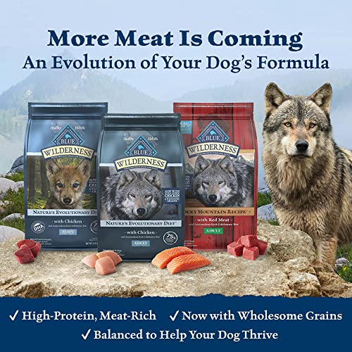 Blue Buffalo Wilderness High Protein Natural Puppy Dry Dog Food plus Wholesome Grains, Chicken 24-lb