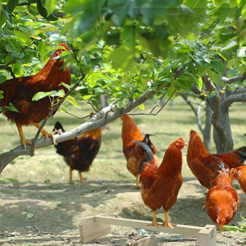 POPETPOP 2pcs Chicken Perch Wooden Roosting Bar for Coop and Brooder Bird Perch for Large Bird Baby Chicks Pollos Gallinas Polluelos Parrots
