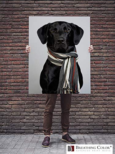 Premium Lyve Matte Canvas Paper Perfect For Use on Professional Makes and Models of Epson, Canon and HP printers preferred by Professionals. 19 mil textured Canvas offered in a 17 inch by 10 ft roll