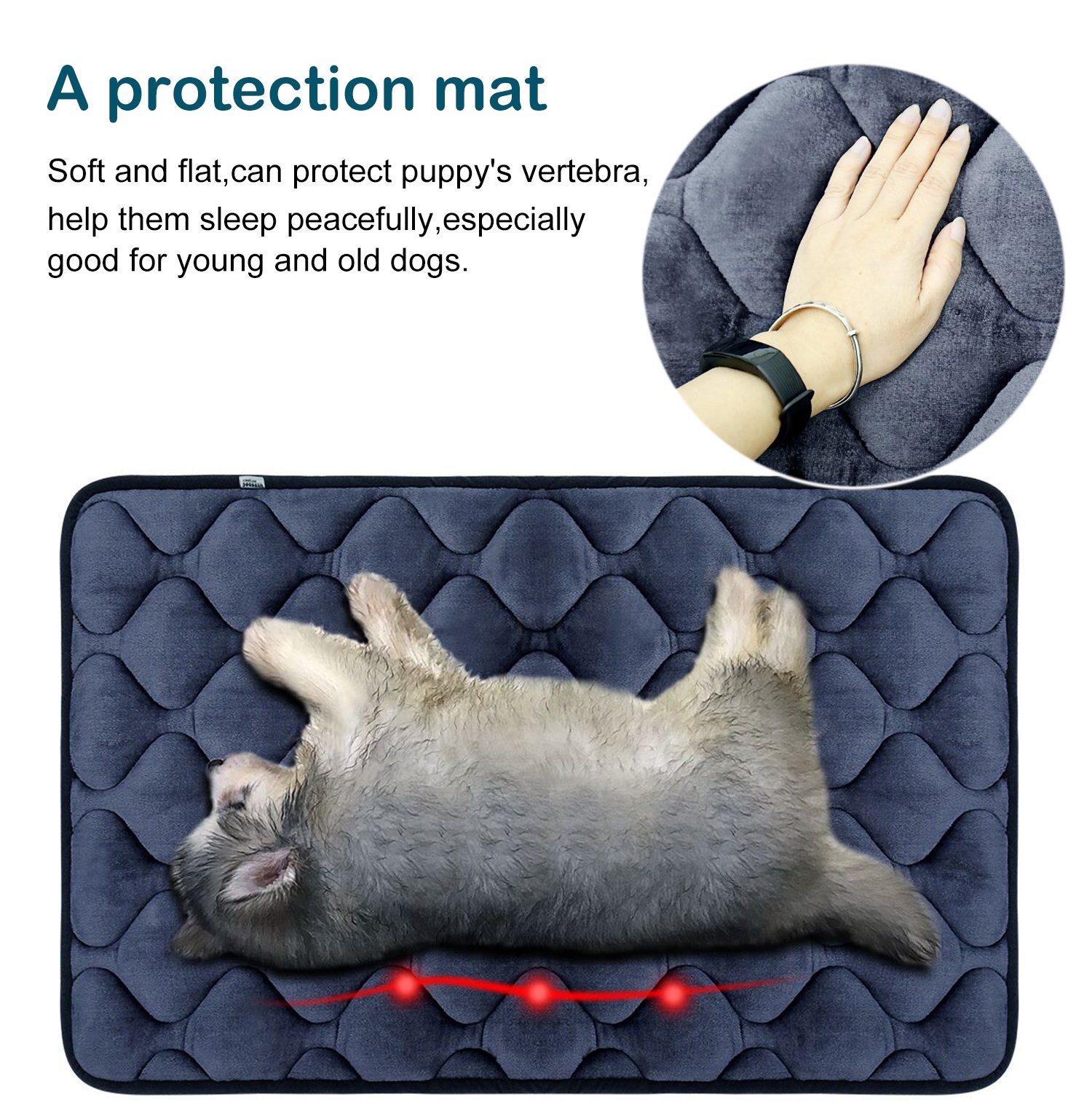 Dog Beds for Small Dogs Crate Pad Mat 21 inch Kennel Pads Washable Mattress Dog Sleeping Mats,Non Slip Pet Beds