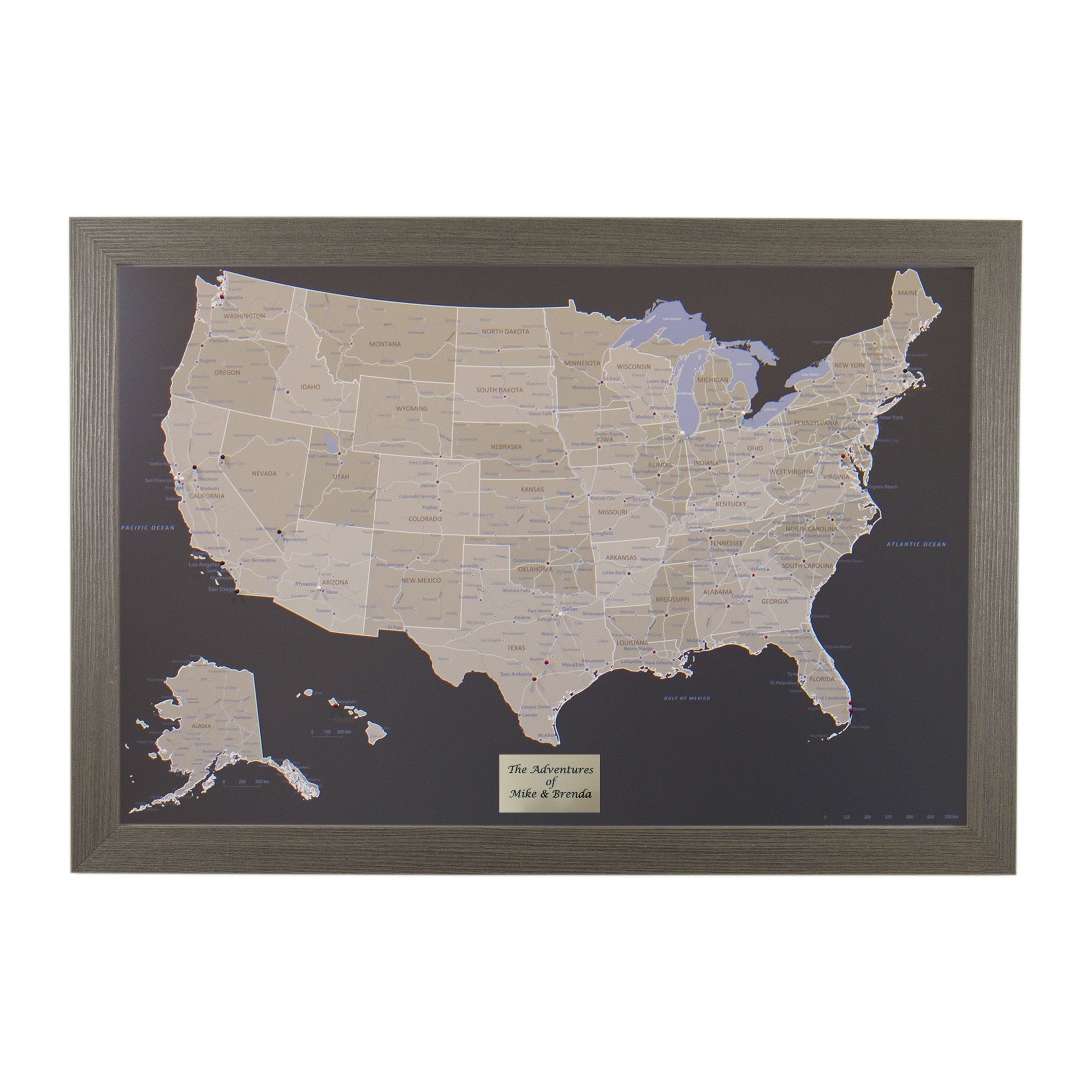 Push Pin Travel Maps Customizable Wall Art - Earth Toned US - Barnwood Gray - Personalized Framed Pin Map, Includes 150 Pins - Handcrafted in USA - 27.5" x 39.5"