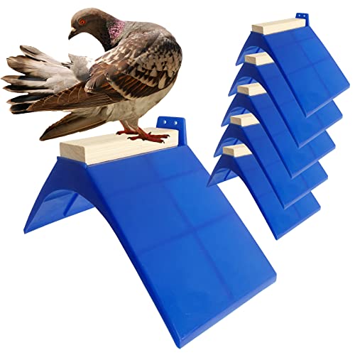 RP PIGEON Perches Dove Rest Stand Pigeons Rest Stand Bird Perches Durable Plastic Roost Racing Pigeon 5pc,blue