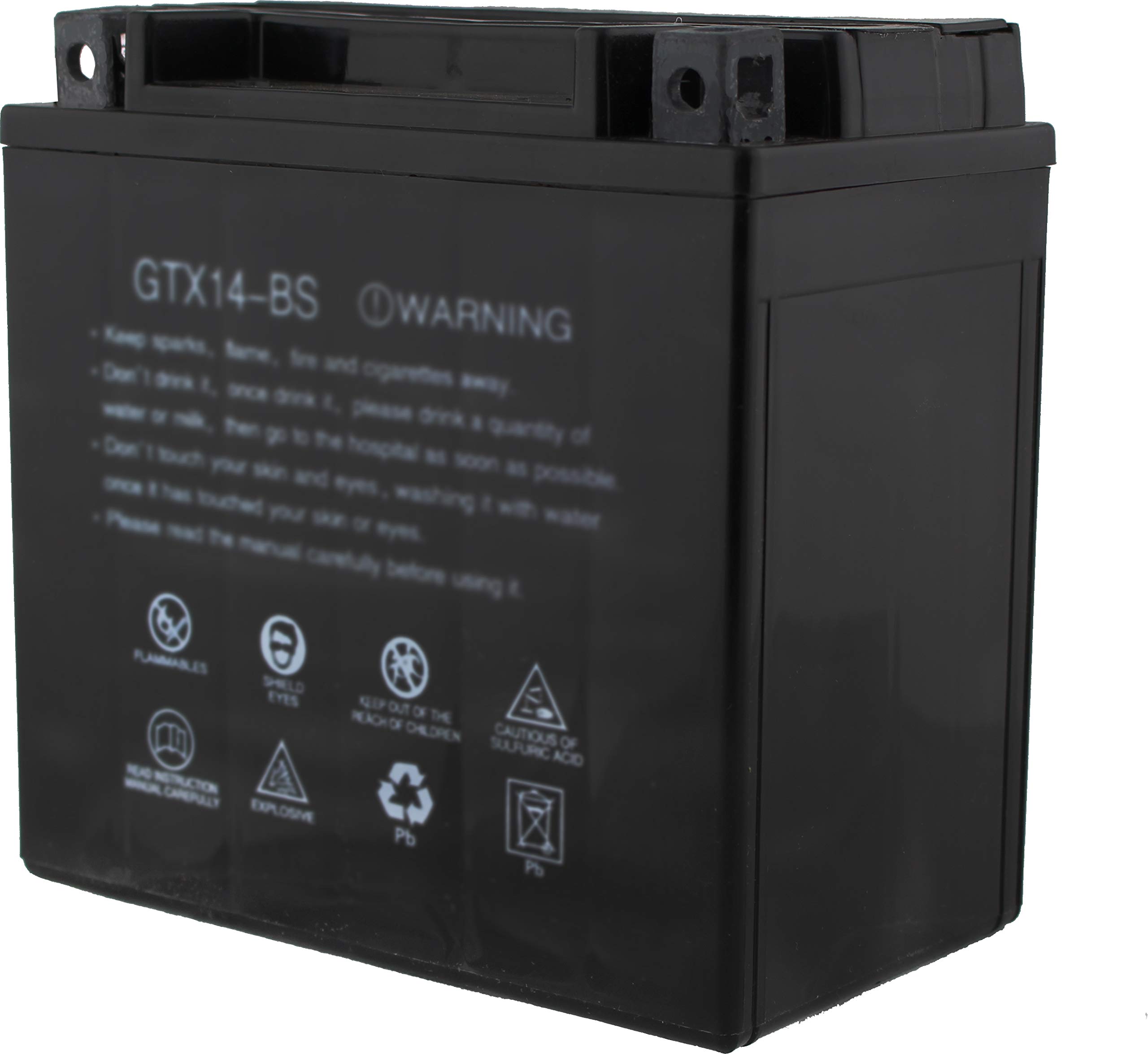 Lifan Energy Storm Acid Cell Starter Battery 12V 15 Amp