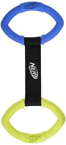 Nerf Dog 13in 2-Ring Strap Tug - Blue/Green