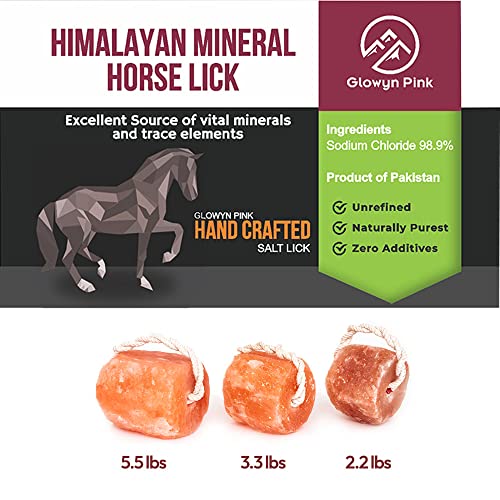 Glowyn Pink Himalayan Salt Lick - Round Block on Rope - 6 lbs. (3 Pack)- Great Nutrition for Horses, Cattle, and Live Stock - 6 lbs.- 3 Pack