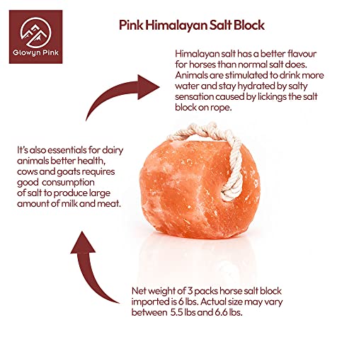 Glowyn Pink Himalayan Salt Lick - Round Block on Rope - 6 lbs. (3 Pack)- Great Nutrition for Horses, Cattle, and Live Stock - 6 lbs.- 3 Pack