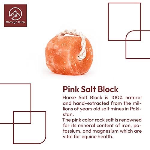 Glowyn Pink Himalayan Salt Lick - Round Block on Rope - 6 lbs. (3 Pack)- Great Nutrition for Horses, Cattle, and Live Stock - 6 lbs.- 3 Pack