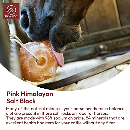 Glowyn Pink Himalayan Salt Lick - Round Block on Rope - 6 lbs. (3 Pack)- Great Nutrition for Horses, Cattle, and Live Stock - 6 lbs.- 3 Pack